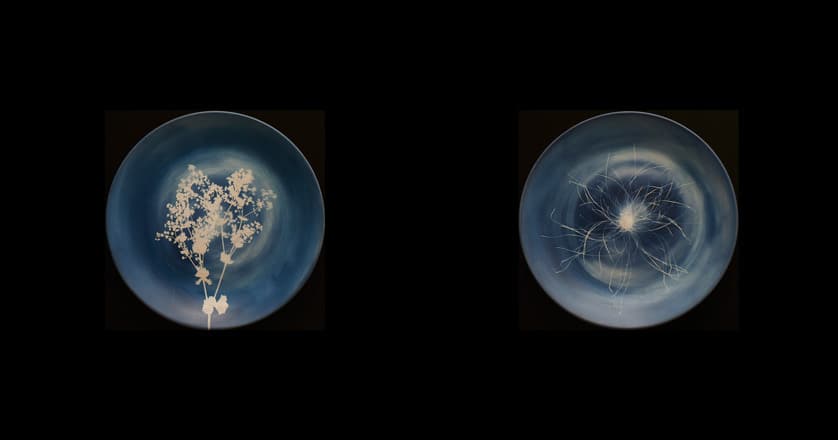 IMA Photo Market! | Exhibition | IMA ONLINE