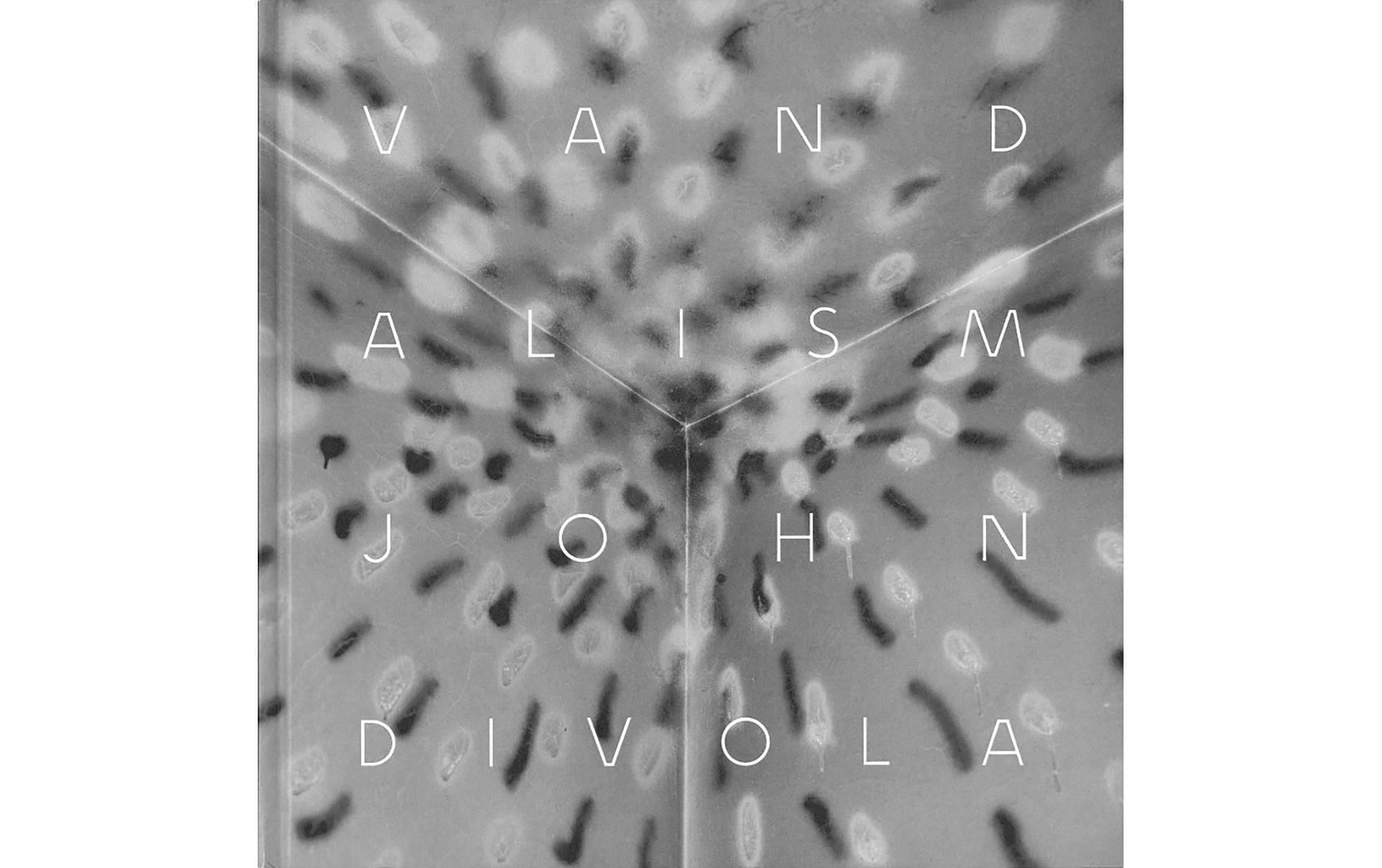 ジョン・ディヴォラ／John Divola | IMAPEDIA | IMA ONLINE